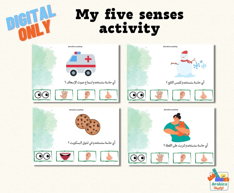 My Five Senses Cards in Arabic | Five Senses Activities | Arabic for ...