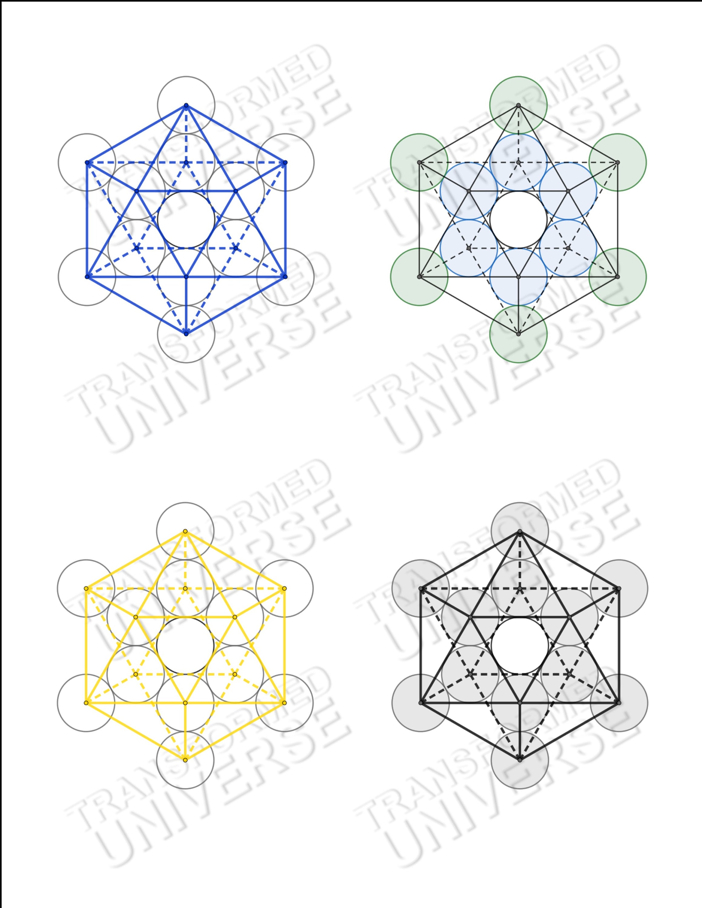 Sacred Geometry Within the Fruit of Life Bundle Platonic Solids Vector ...