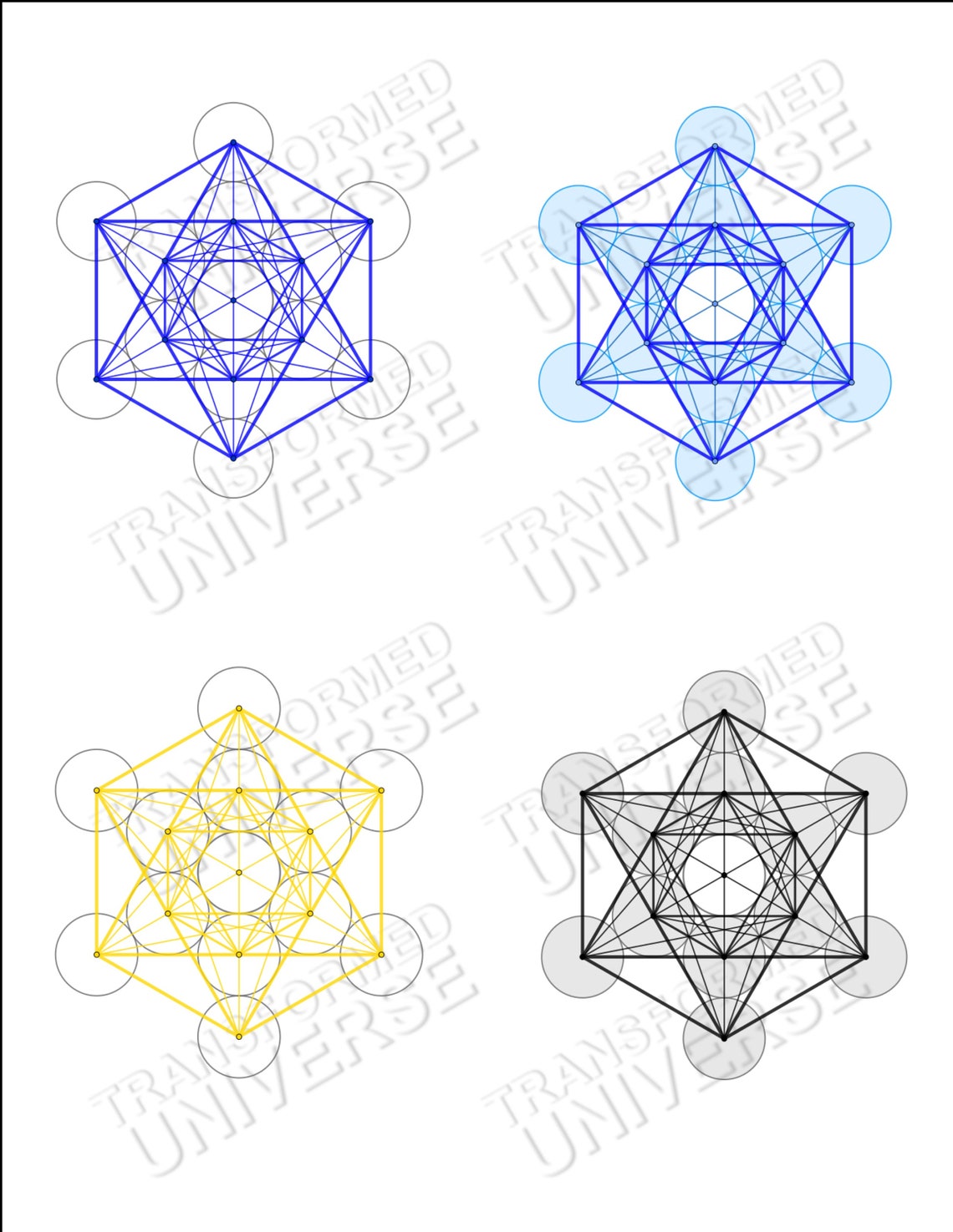Sacred Geometry Within the Fruit of Life Bundle Platonic Solids Vector ...