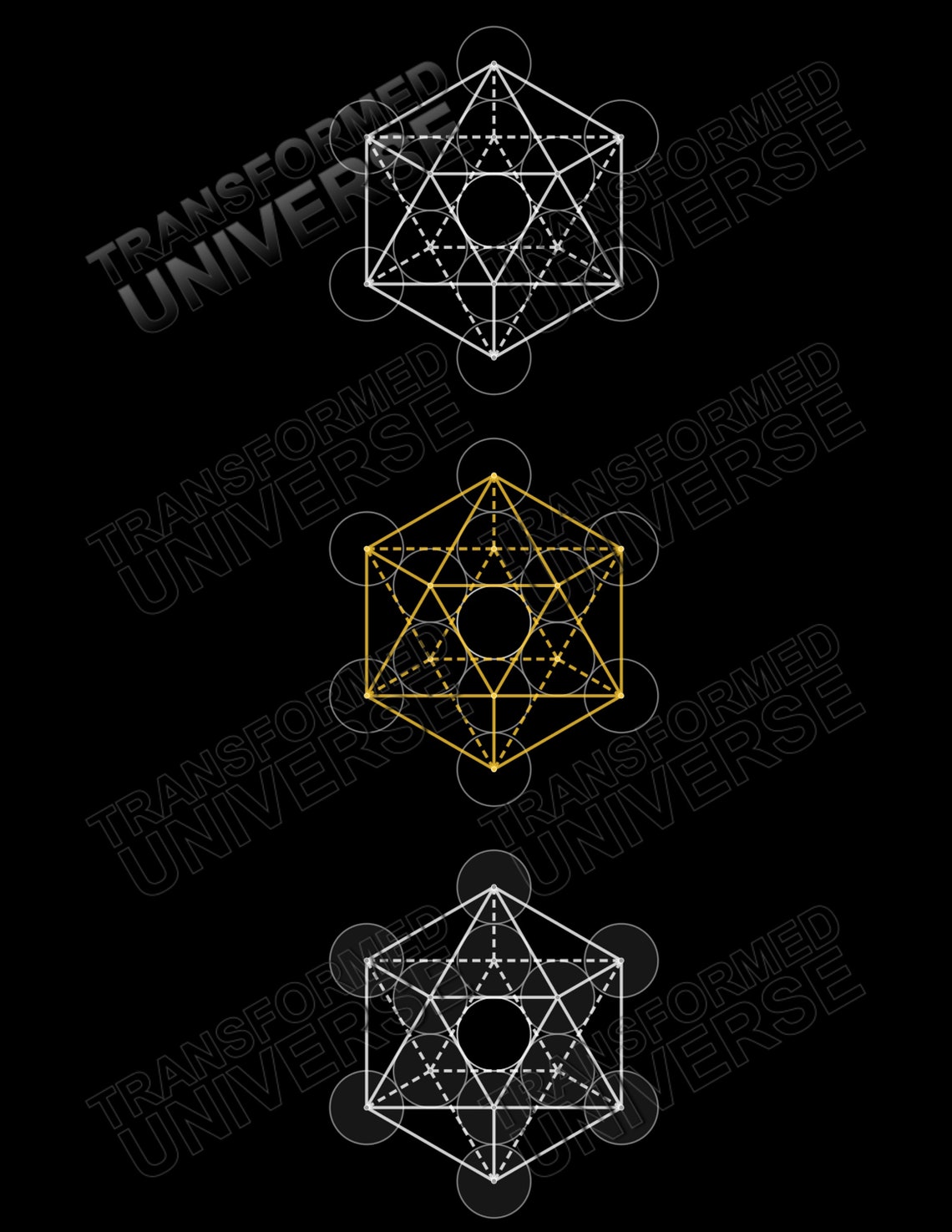 Sacred Geometry Within the Fruit of Life Bundle Platonic Solids Vector ...