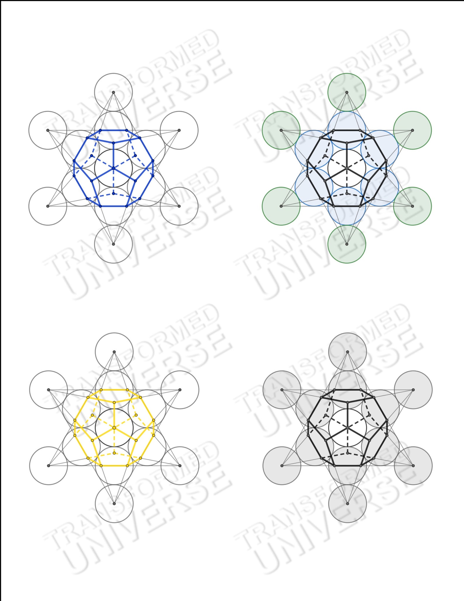 Sacred Geometry Within the Fruit of Life Bundle Platonic Solids Vector ...