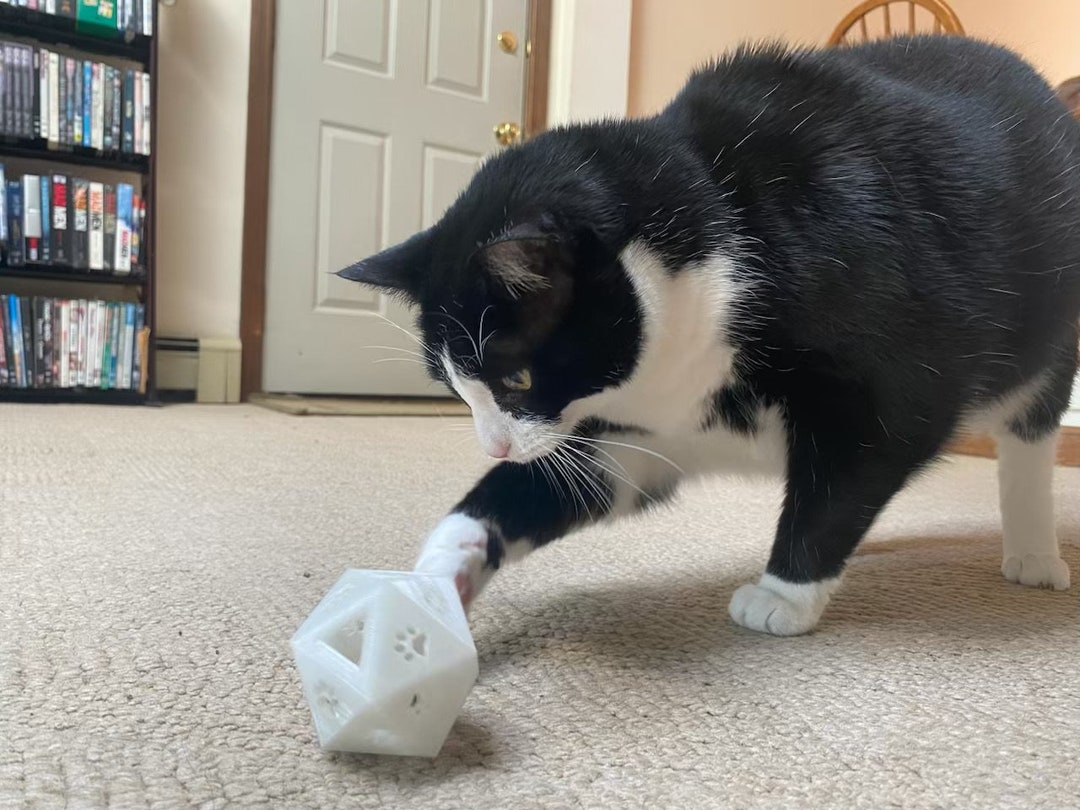 D20 Cat Treat Toy - Etsy