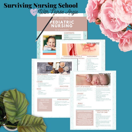 OB and Pediatric Study Guide Packet - Etsy