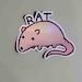 RAT Stickers Waterproof Holographic Stickers, Rat Sticker, Derpy ...