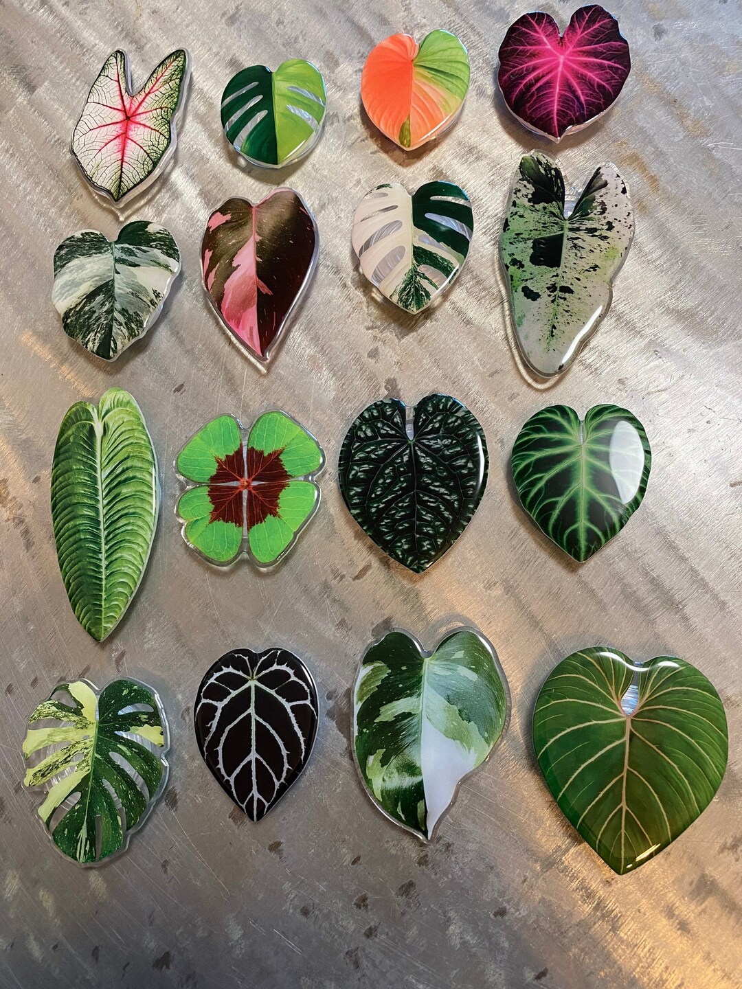 Mobile Phone Grip Leaf Designs. Rare Plant Phone Holder. Useful and ...