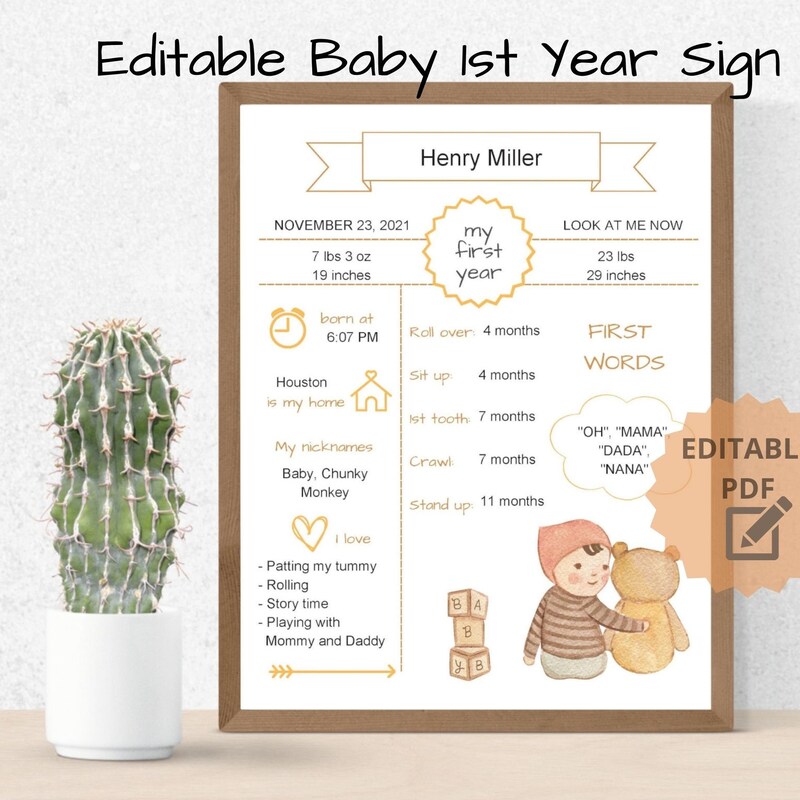 Baby Infographic - Etsy