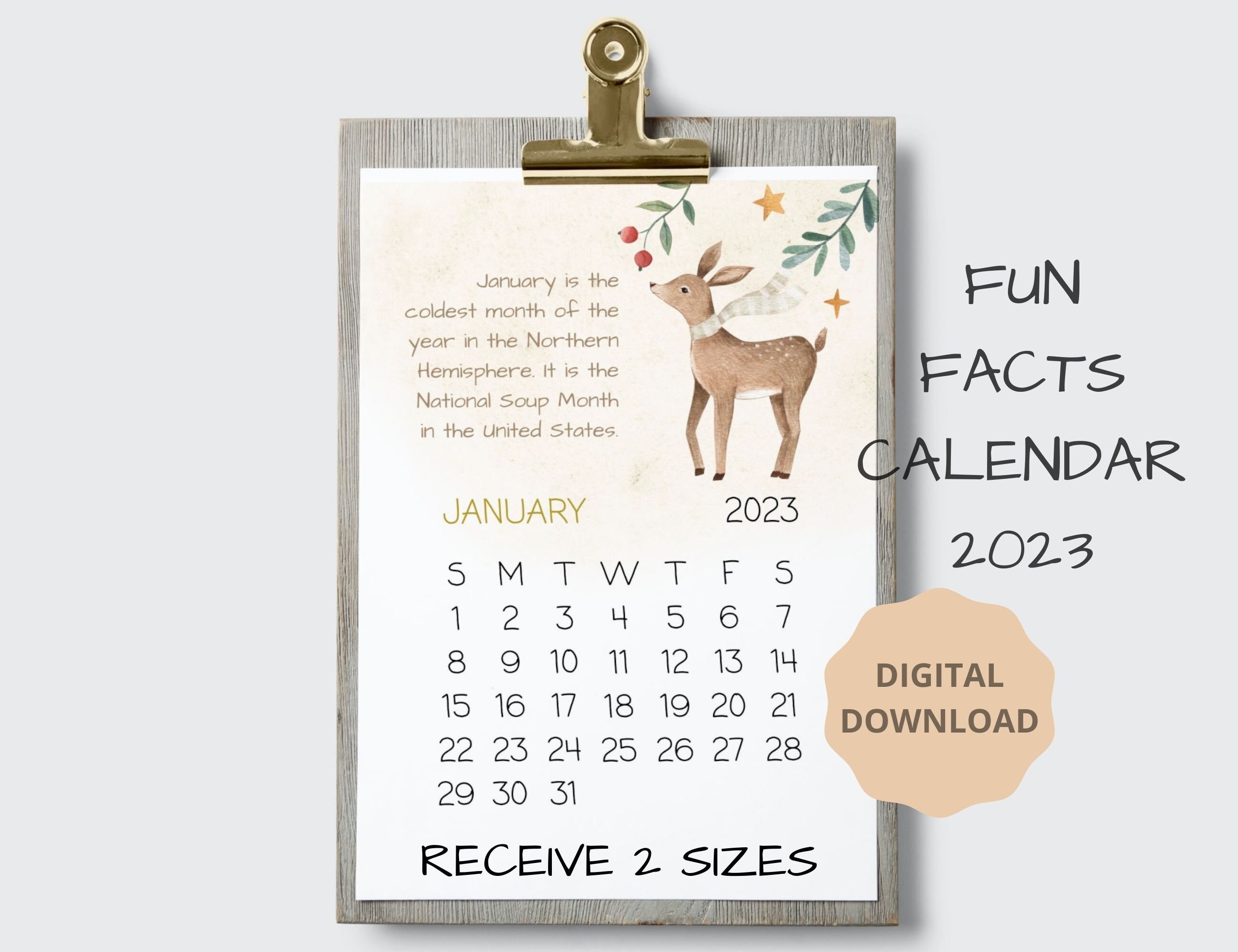 Printable Calendar 2023, Cute Desk Calendar Printable, Montessori ...