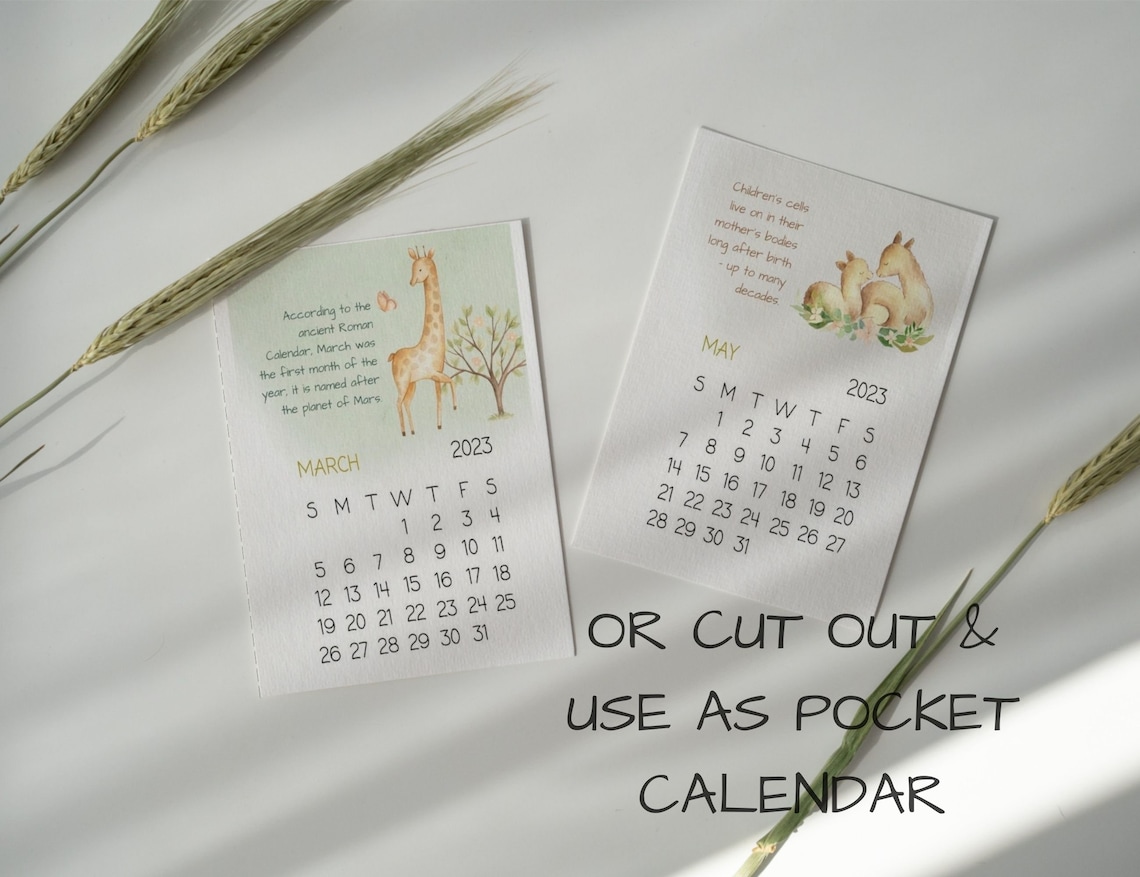 Printable Calendar 2023 Cute Desk Calendar Printable - Etsy