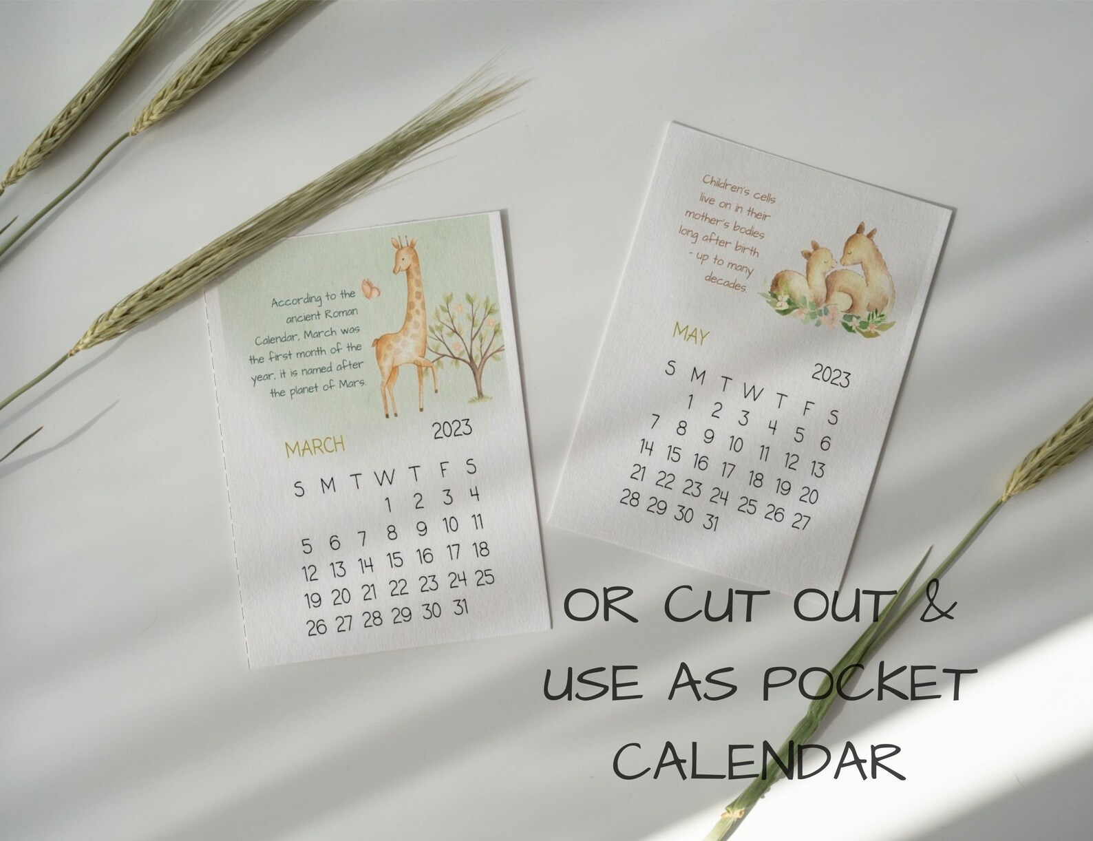 Printable Calendar 2023, Cute Desk Calendar Printable, Montessori ...