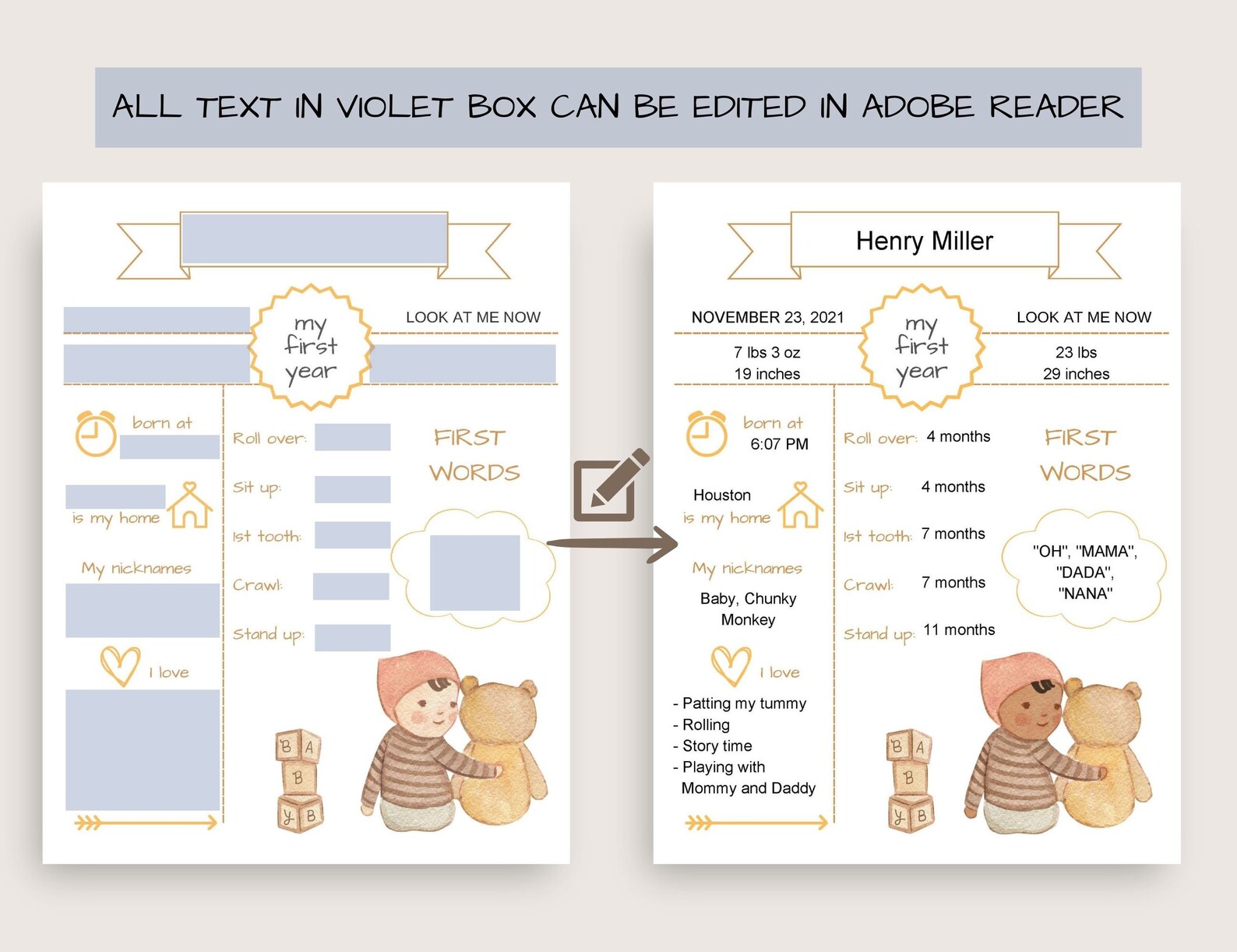 Editable Baby First Year Sign Template, Custom Baby Infographic, Baby ...