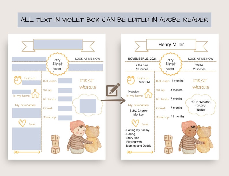 Editable Baby First Year Sign Template, Custom Baby Infographic, Baby ...