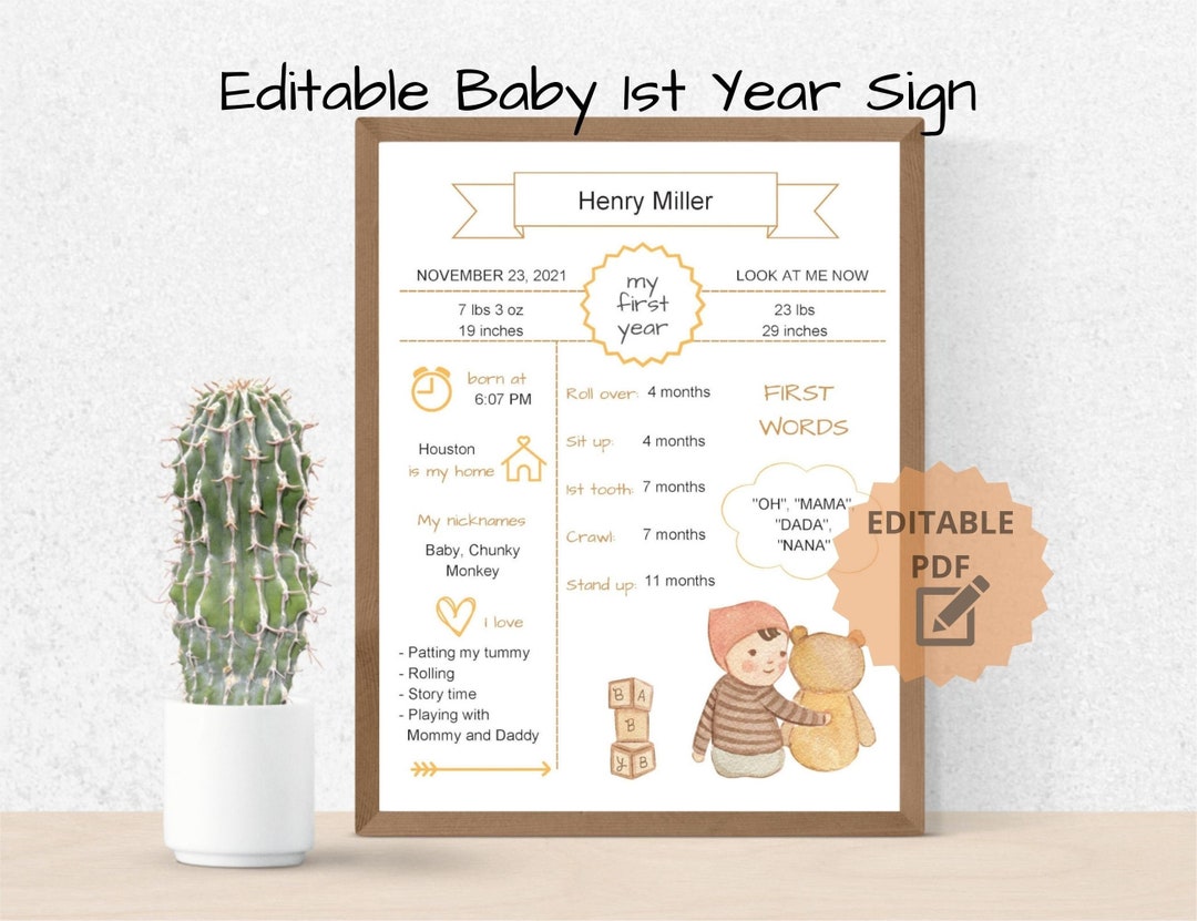 Editable Baby First Year Sign Template, Custom Baby Infographic, Baby ...