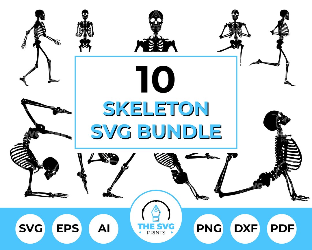 Skeleton SVG Bundle - 10 Skeletons, Skeleton Fitness SVG, Bones ...