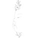 Side Profile Drawing With Birth Flower Custom Portrait Outline - Etsy