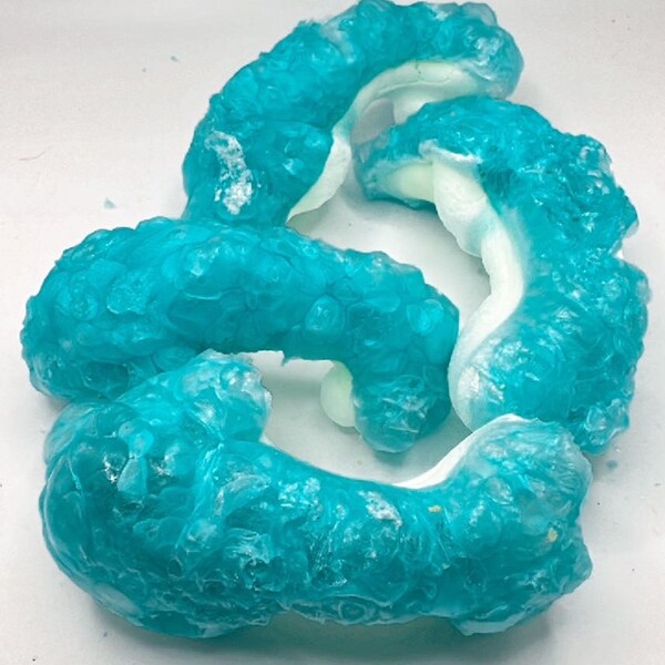 Freeze Dried Shark - Etsy
