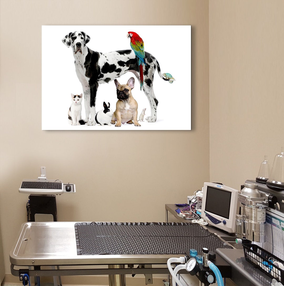 Vet Clinic, Pet Shop, Veterinary, Pet Hospital, Veterinarian Canvas ...