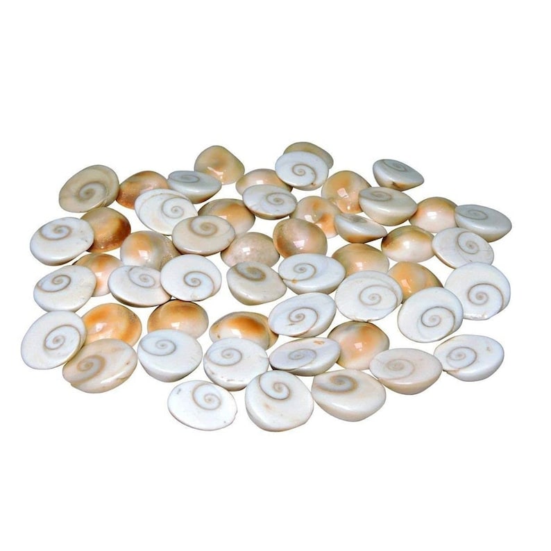Gomti Chakra Natural Energized for Health, Wealth, Success, Puja - Etsy