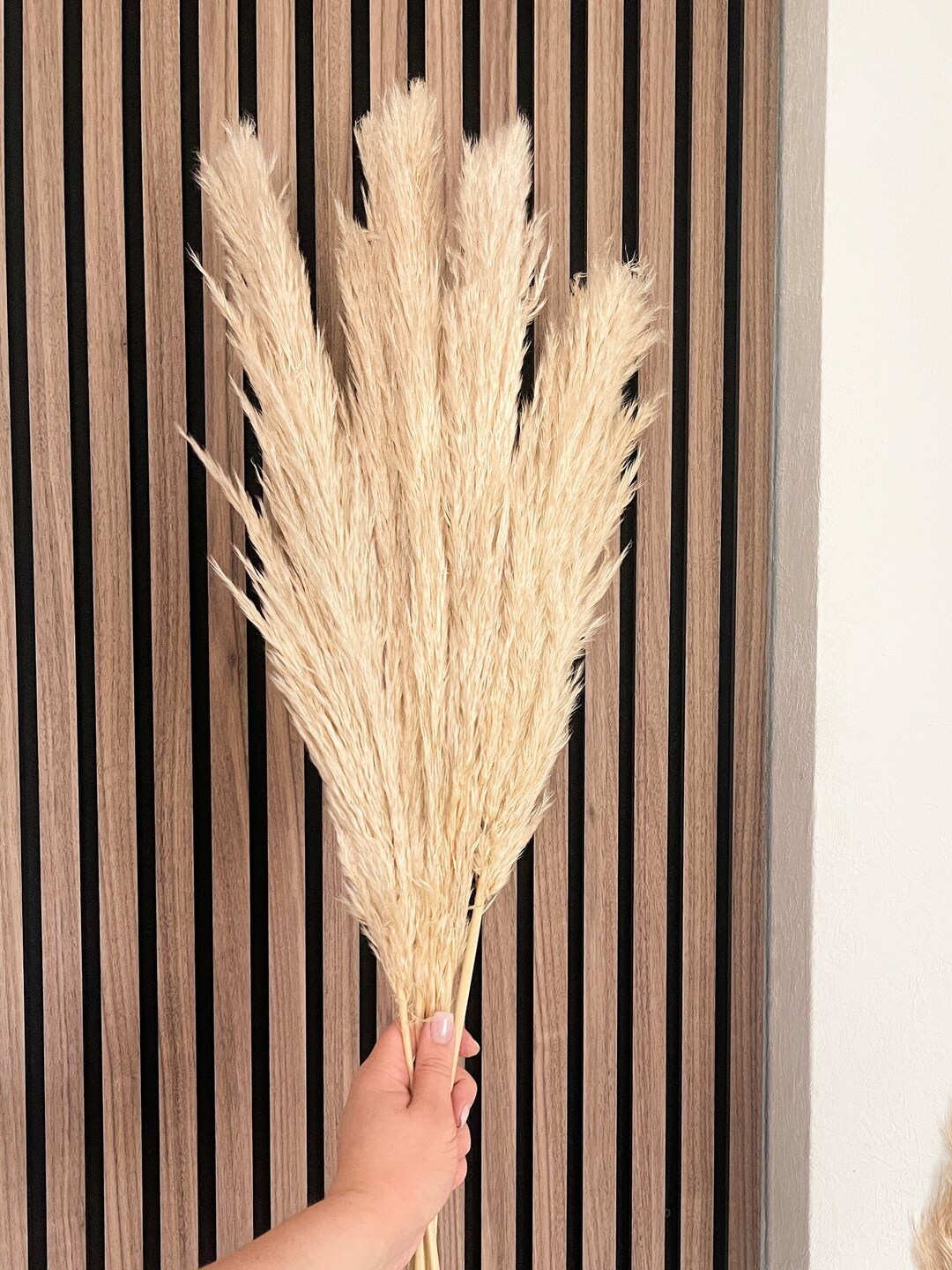 Pampas Grass Fluffy, Large Pampas Grass, Pampas Fronds 110 Cm - Etsy