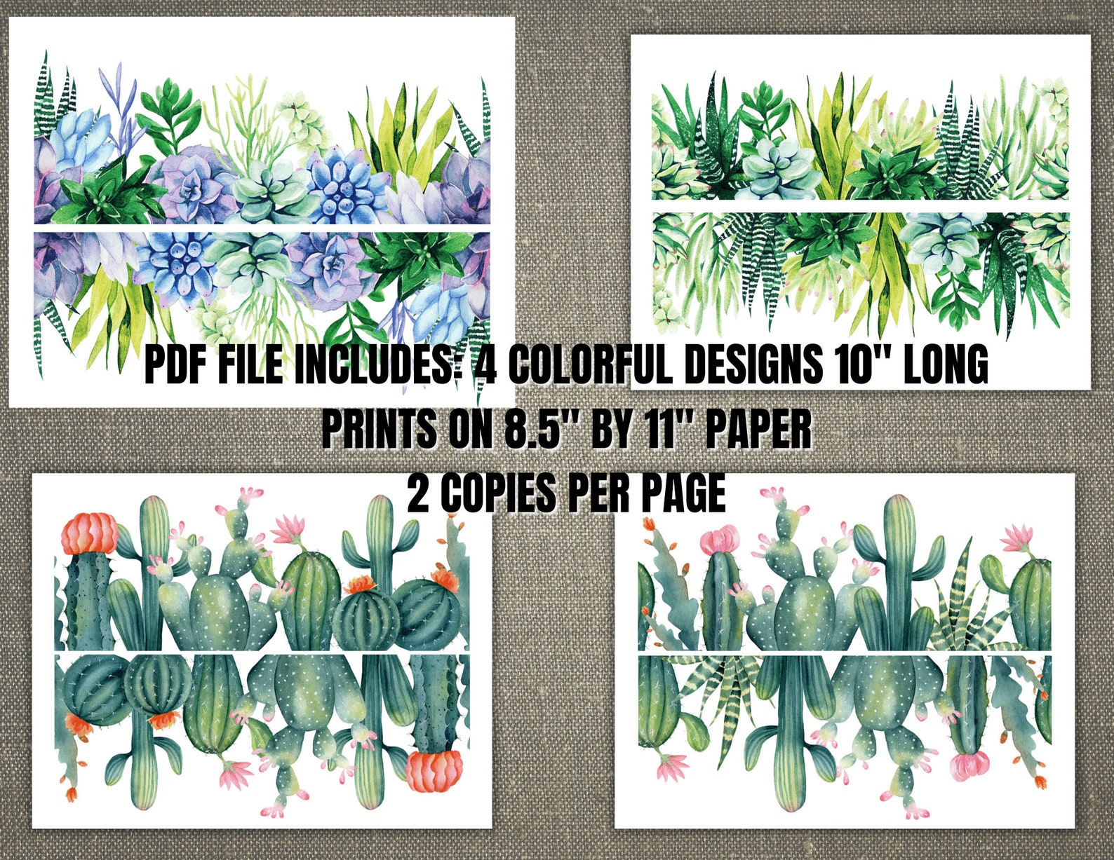 Printable Art Bulletin Board Borders, Succulents Cacti Classroom Decor ...
