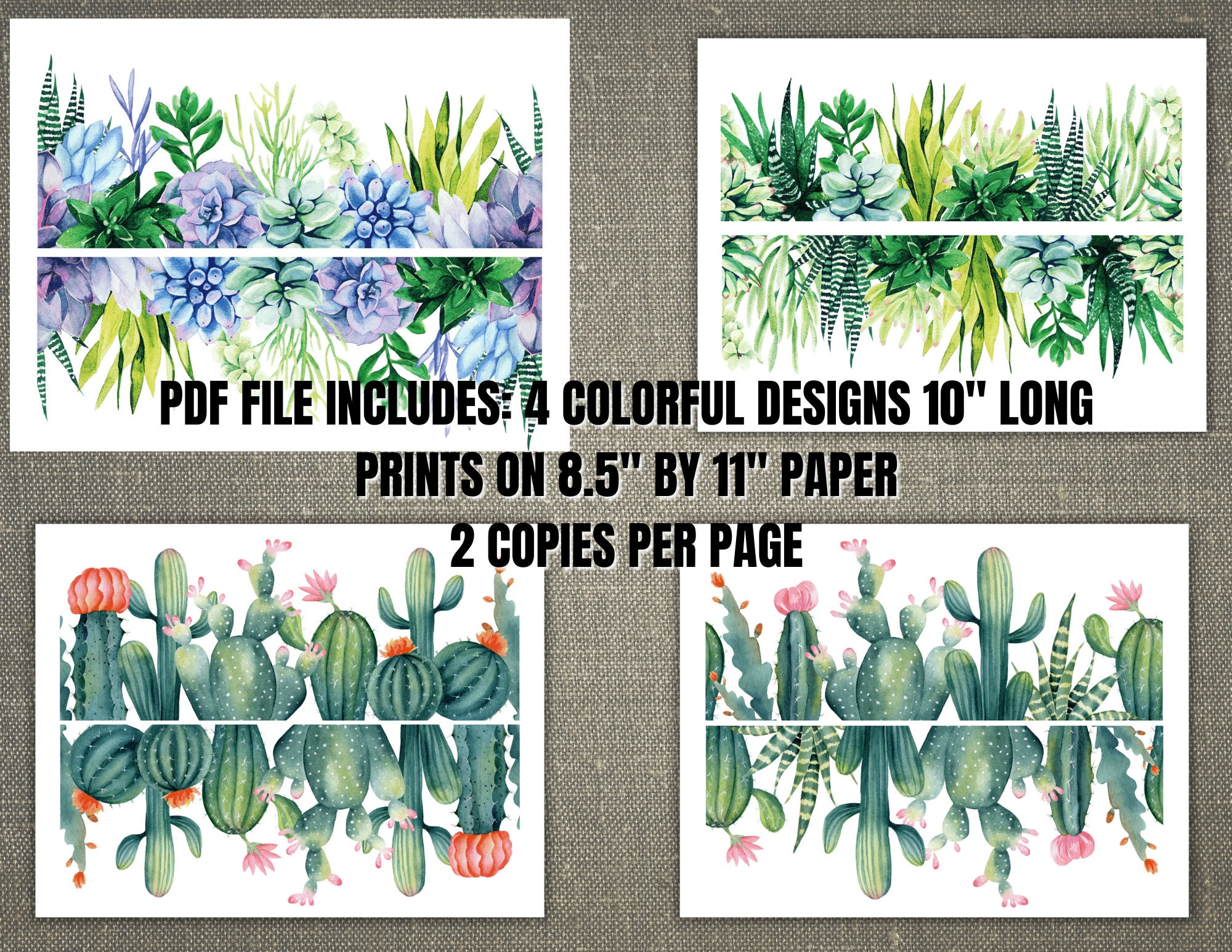 Printable Art Bulletin Board Borders, Succulents Cacti Classroom Decor ...