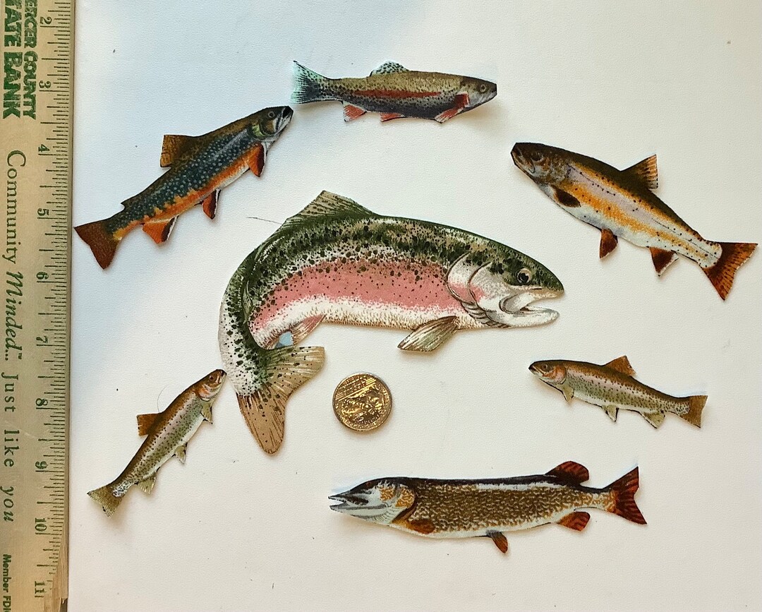 VINTAGE Rainbow Trout Fish Fabric Appliques Iron Ons Wildlife Nature - Etsy