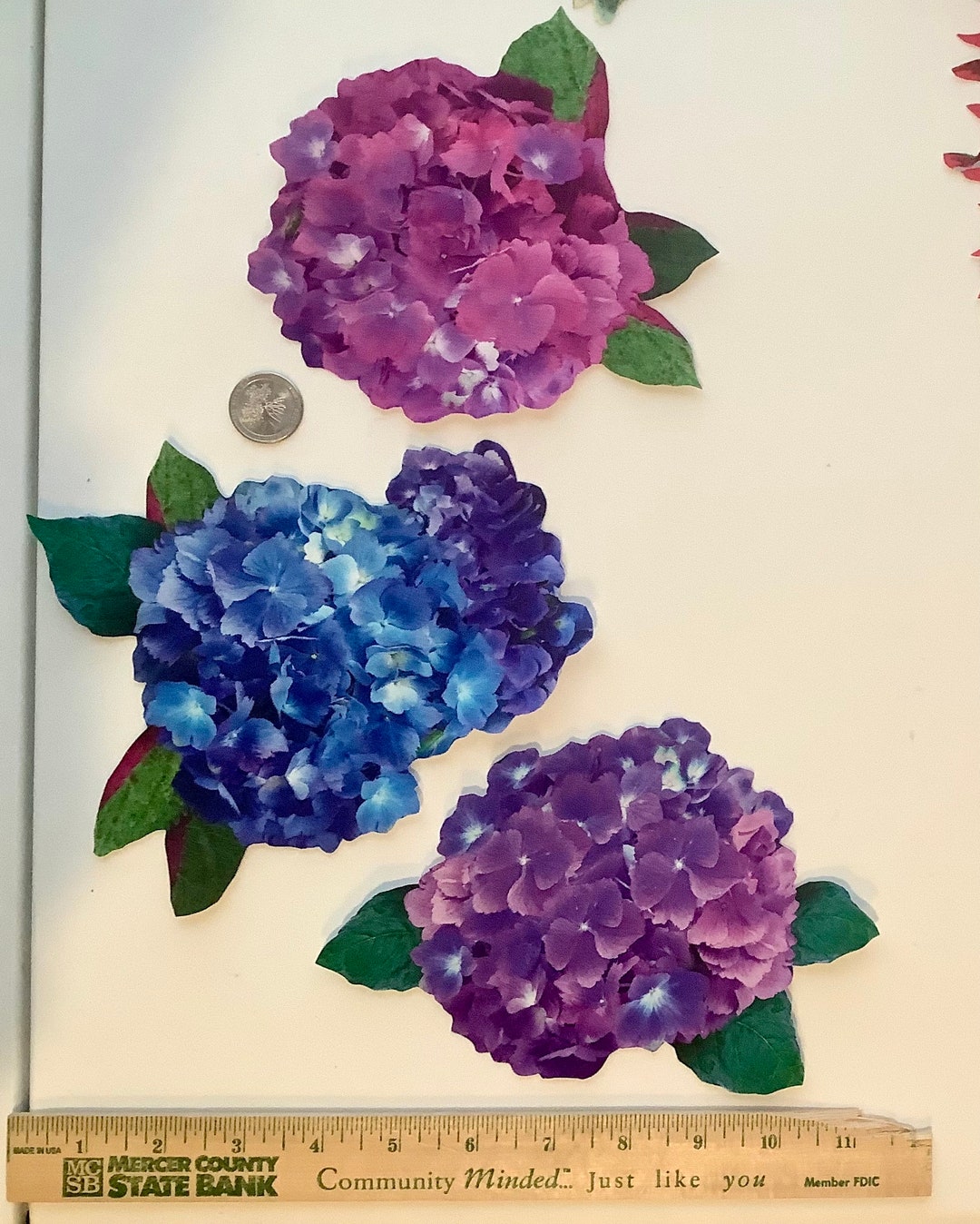 NEW Big Midnight Hydrangea Floral Fabric Appliques Iron Ons 2 Magnolia ...