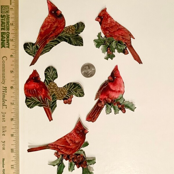 Cardinals Iron On - Etsy