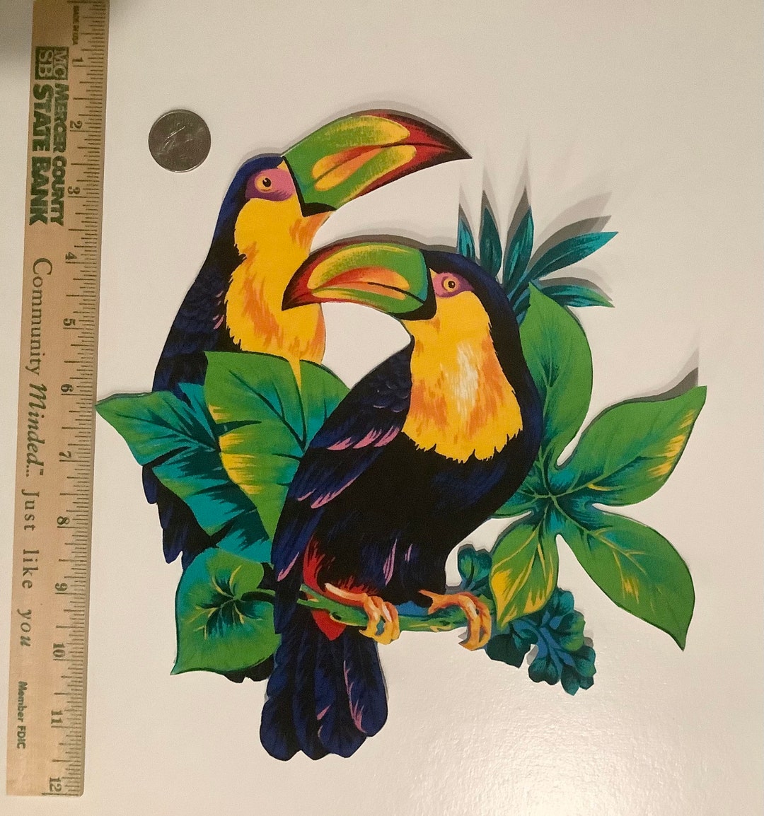 Durante of Tropical Toucans Fabric Appliques Iron Ons Vivid - Etsy