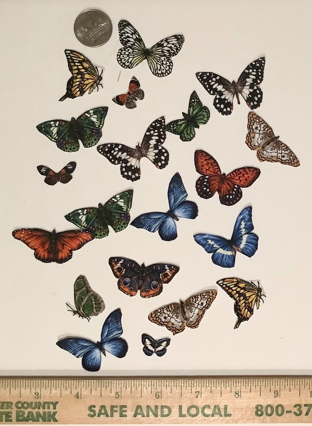 Pretty Realistic Small Butterfly Butterflies Fabric Appliques Magnolia ...