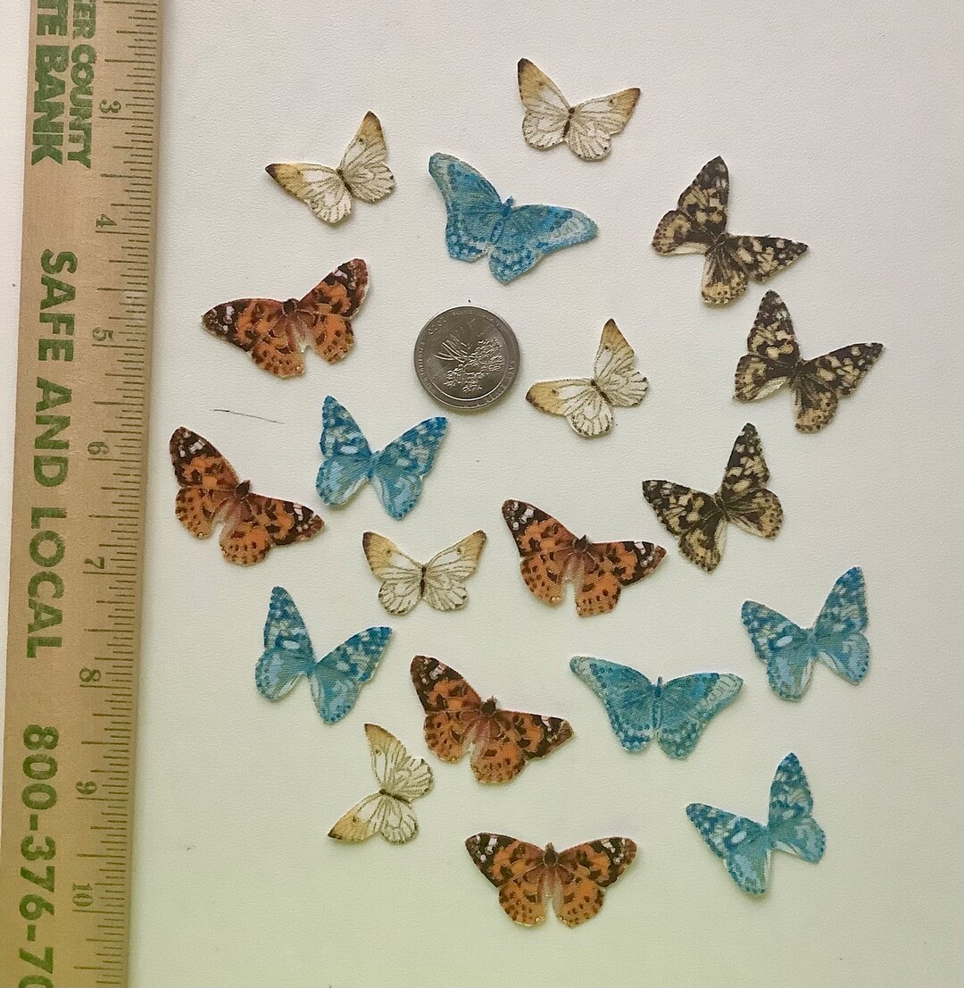 Very Small Monarch Butterfly Butterflies Fabric Appliques Iron Ons Very ...