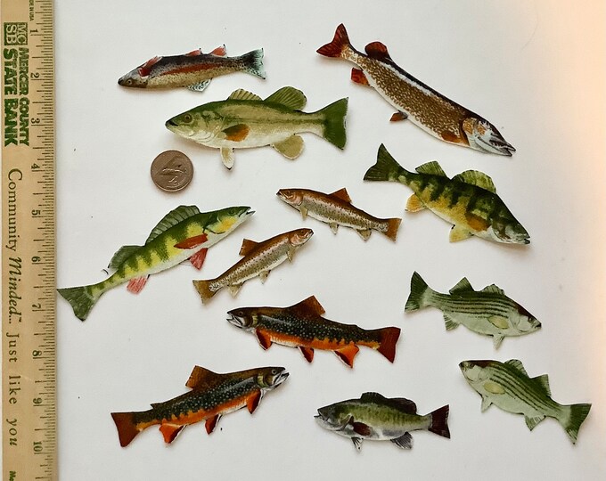 Realistic River Lake Fish Fabric Appliques Iron Ons Wildlife Nature ...