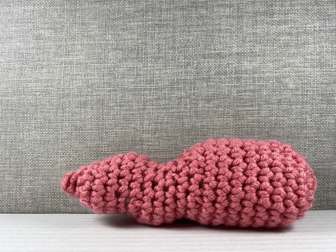 Crochet Appendix Large - Etsy