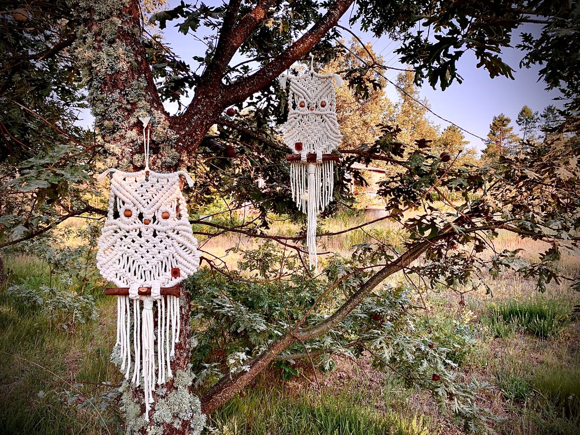 Macrame Owl - Etsy