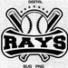 Rays Baseball Svg - Etsy