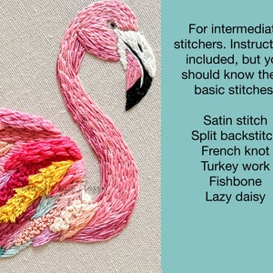 Colorful Textured Flamingo Hand Embroidery Pattern - PDF Instant ...