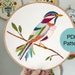 Colorful Bird Hand Embroidery Pattern - PDF Instant Download for ...