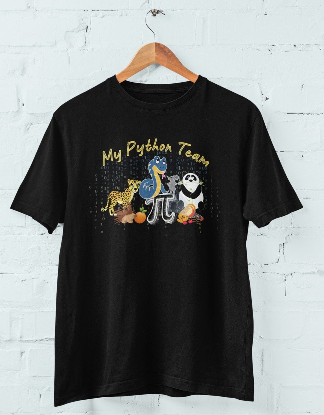 Python Programmer Friends T-shirt, Computer Geeks, It-crowd, Python ...