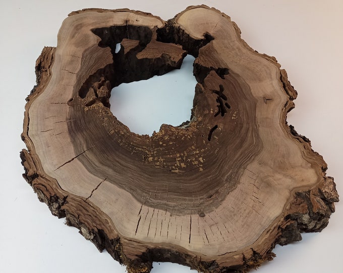 Walnut Wood Slab, Tree Slice, Unfinished Wood, Walnut Wood for Epoxy ...