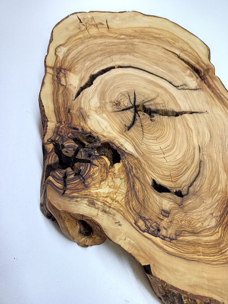 Unique Olive Tree Wood Slab Olive Tree Wood Burl Live Edge - Etsy