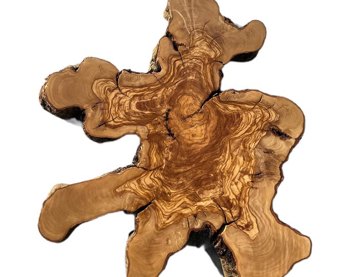 Olive Root Slice for Design, Olive Tree Sheet for Epoxy Making, Wooden ...