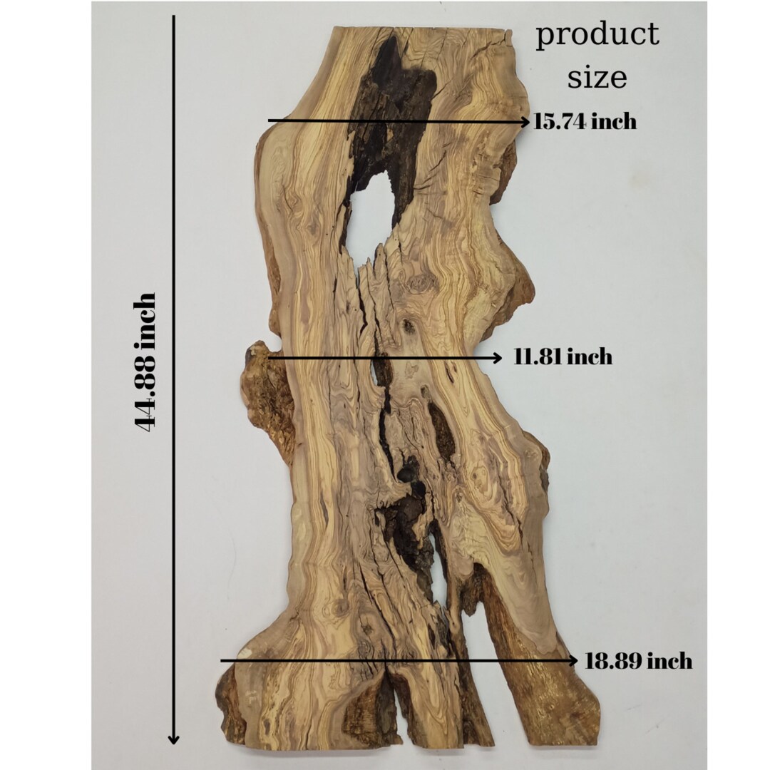 Olive Root Slice for Coffee Table Making, Olive Wood ,olives With ...