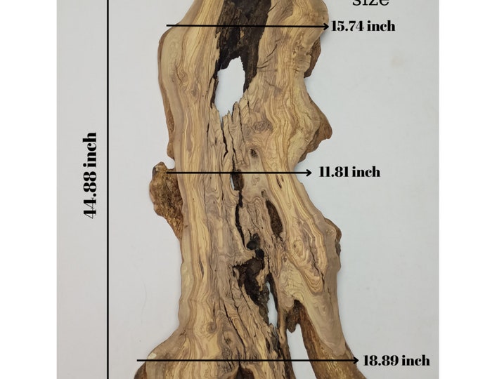Olive Root Slice for Coffee Table Making, Olive Wood ,olives With ...