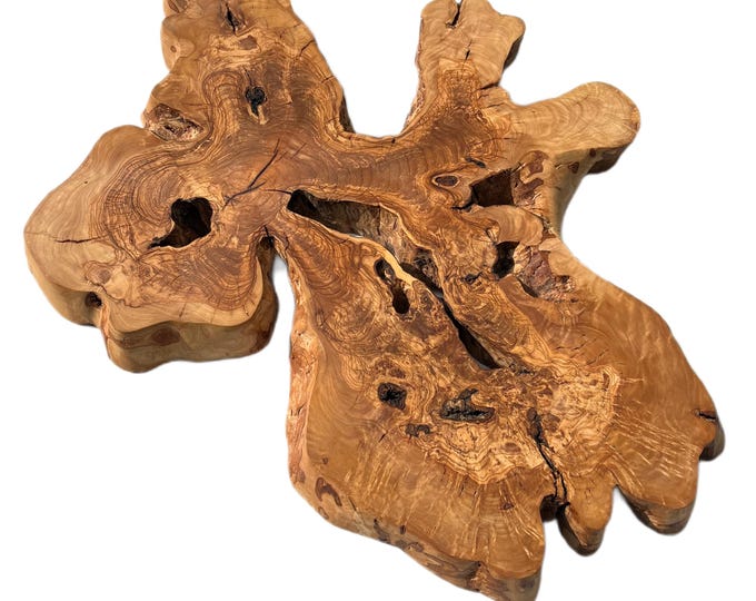 Large Olive Tree Root Sheet , Live Edge Root Slice With Which You Can ...