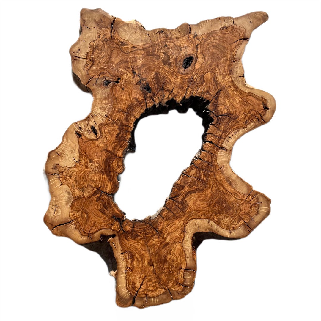 Unique Olive Slice for Epoxy, Olive Slice for Coffee Table Making ...