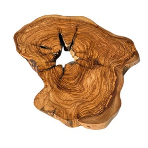 Olive Tree Slices for Crafts, Olive Slices for Wall Clock Making ...