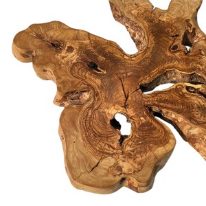 Large Olive Tree Root Sheet , Live Edge Root Slice With Which You Can ...