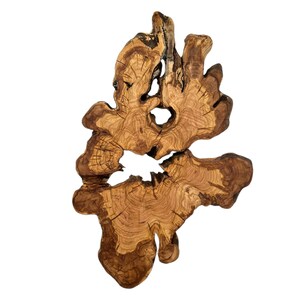 Olive Tree Root Slice for You to Create Unique Design , Olive Slices ...