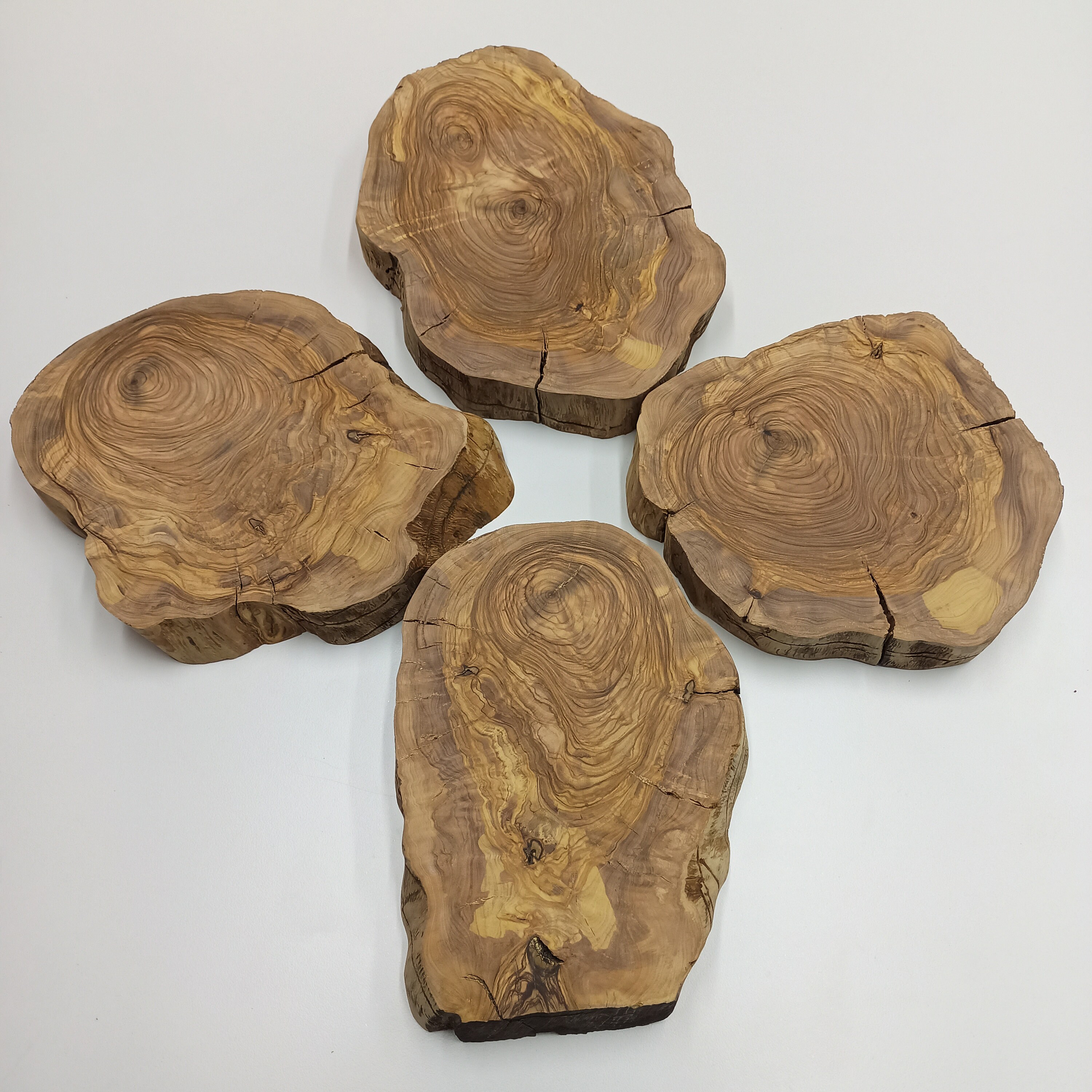 4 Irregular Shaped Olive Tree Slices for the Project Olive - Etsy
