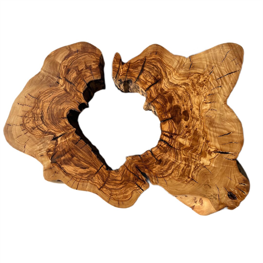 Unique Beautiful Trunk Olive Slice for Coffee Table Making , Olive Tree ...