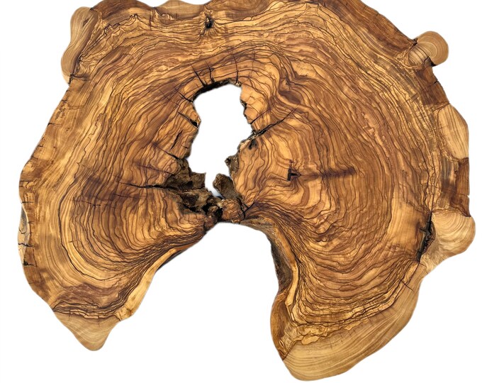 Unique Beautiful Trunk Olive Slice for Coffee Table Making , Olive Tree ...